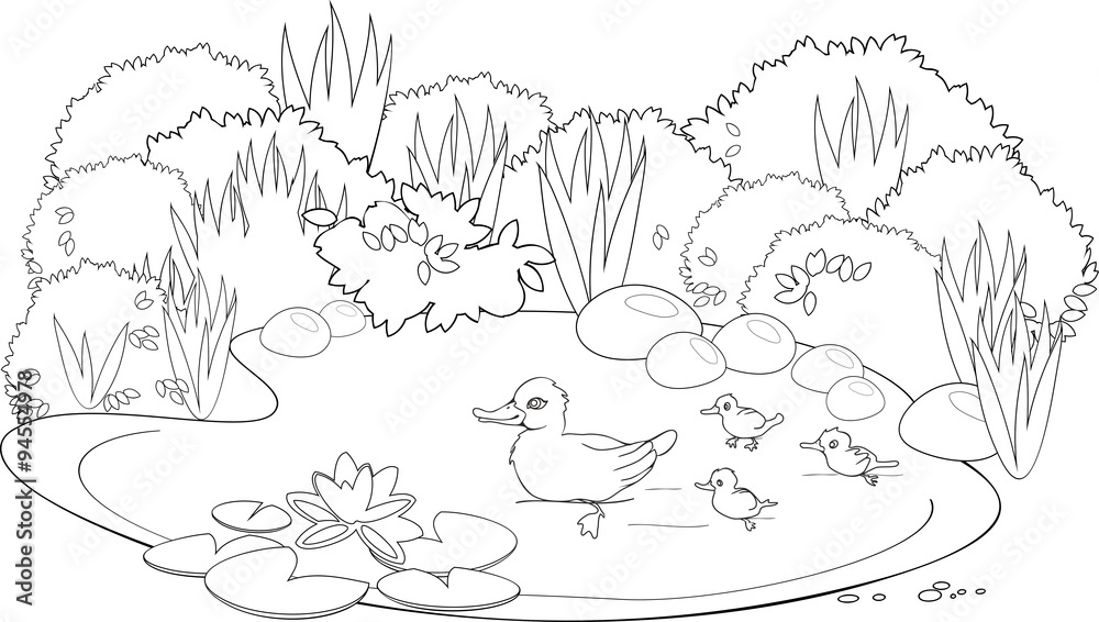 Coloring duck pond Stock Vector | Adobe Stock