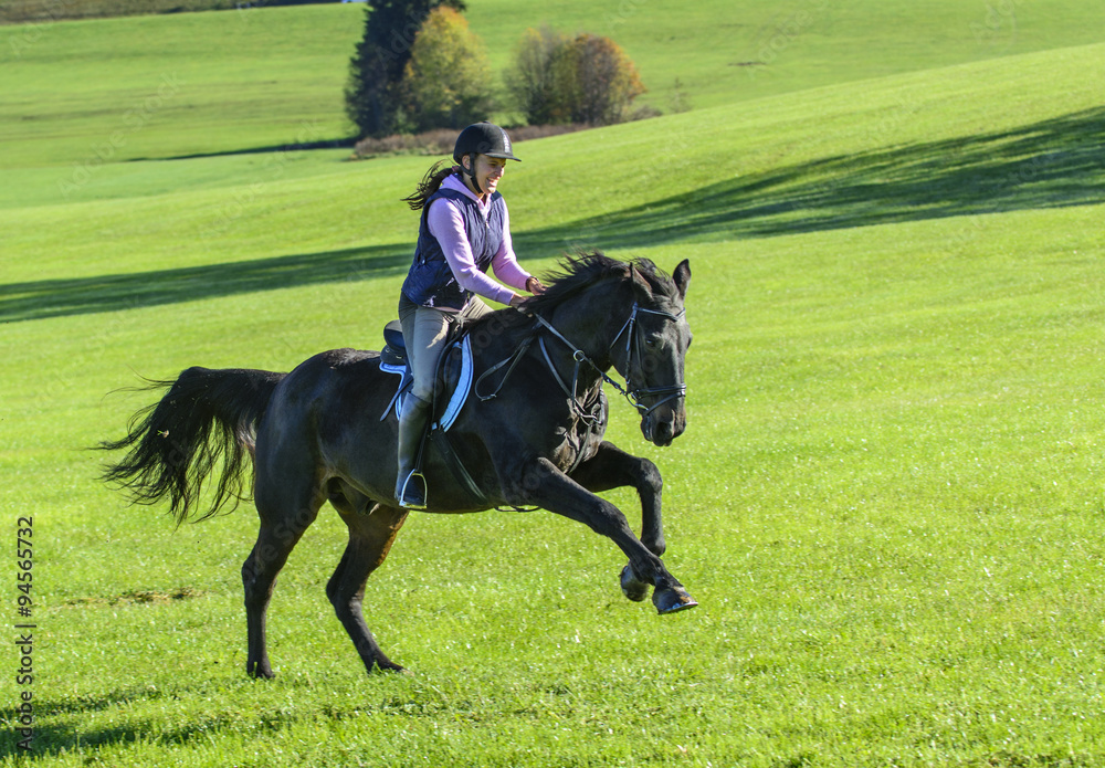 galoppierendes Pferd mit Reiterin auf einer Wiese Stock Photo | Adobe Stock