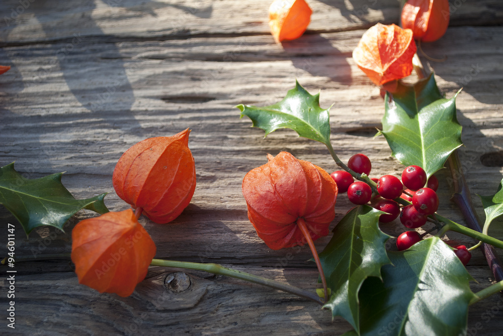 Stechpalme, Ilex Zweige mit roten Beeren und Lampionblumen auf altem ...