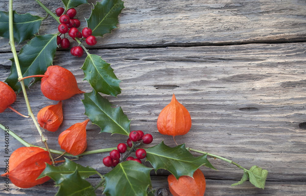 Stechpalme, Ilex Zweige mit roten Beeren und Lampionblumen auf altem ...
