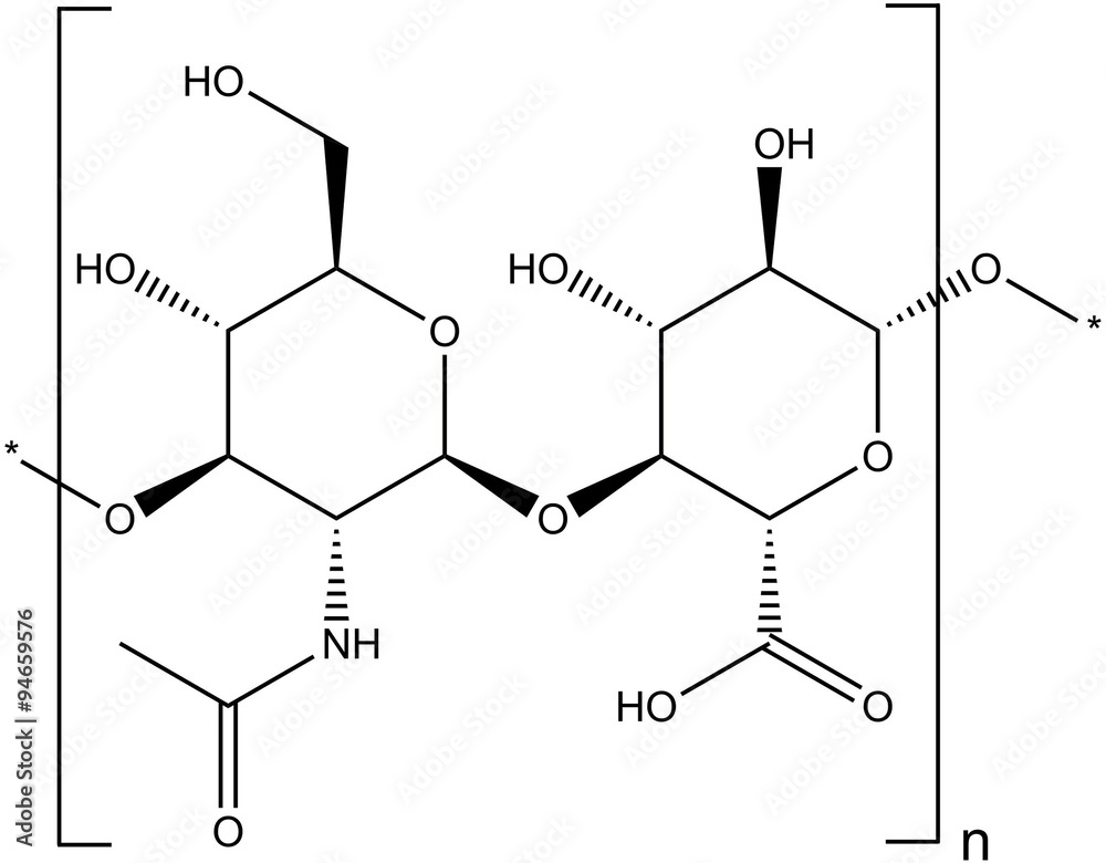 Molecular structure of hyaluronic acid (hyaluronan) Stock Illustration ...