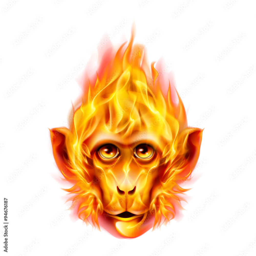Monkey fire head Stock Illustration | Adobe Stock