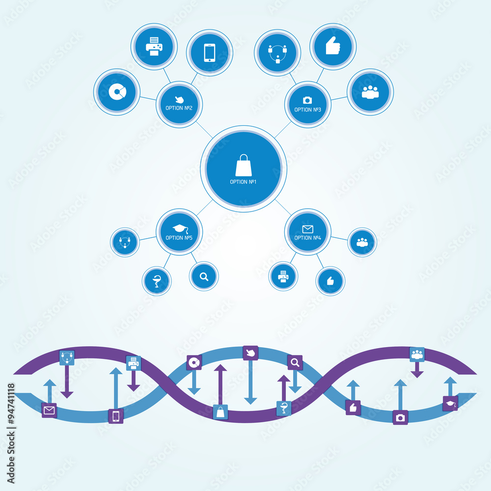 Flowchart scheme of circles of different sizes connected by straight ...