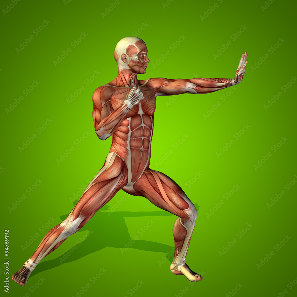 Conceptual 3D human man health anatomy Stock Illustration | Adobe Stock