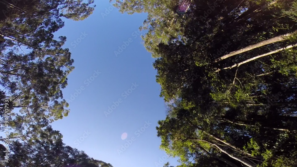 Footage vision POV from moving car vehicle window view through sunroof ...