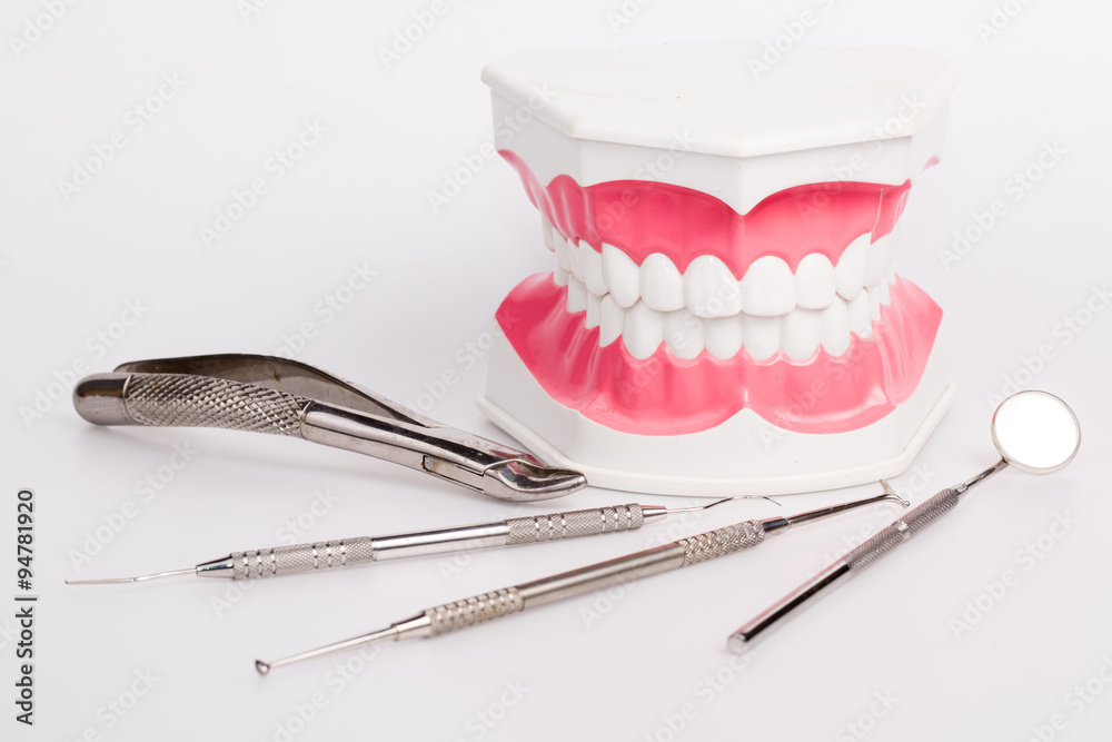 Clean teeth denture, dental jaw model, mirror and dentistry instruments ...