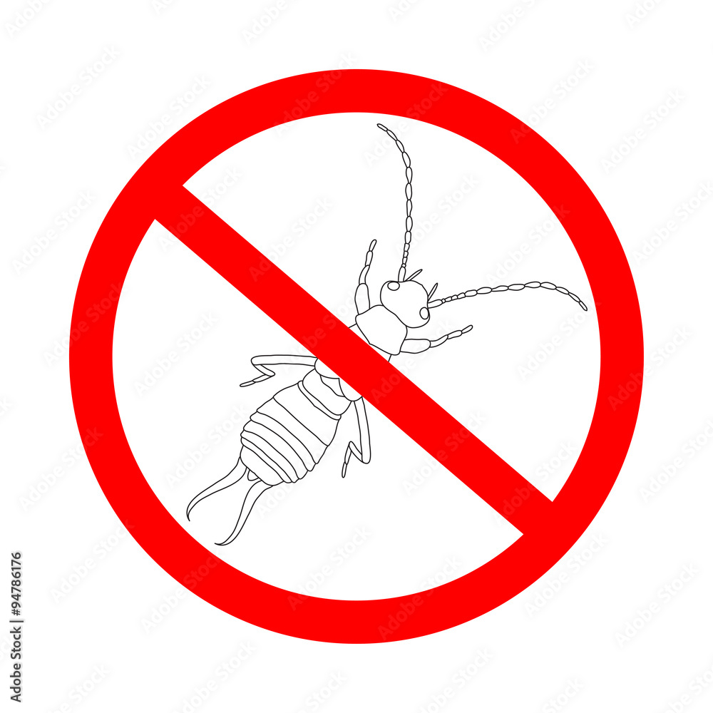 prohibition sign Forficula auricularia. Earwig. Sketch of Earwig ...