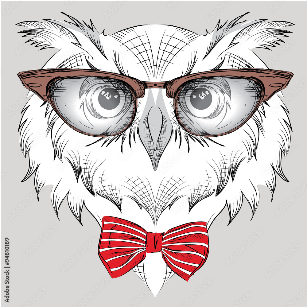 Image Portrait Owl In The Glasses And Cravat African Indian