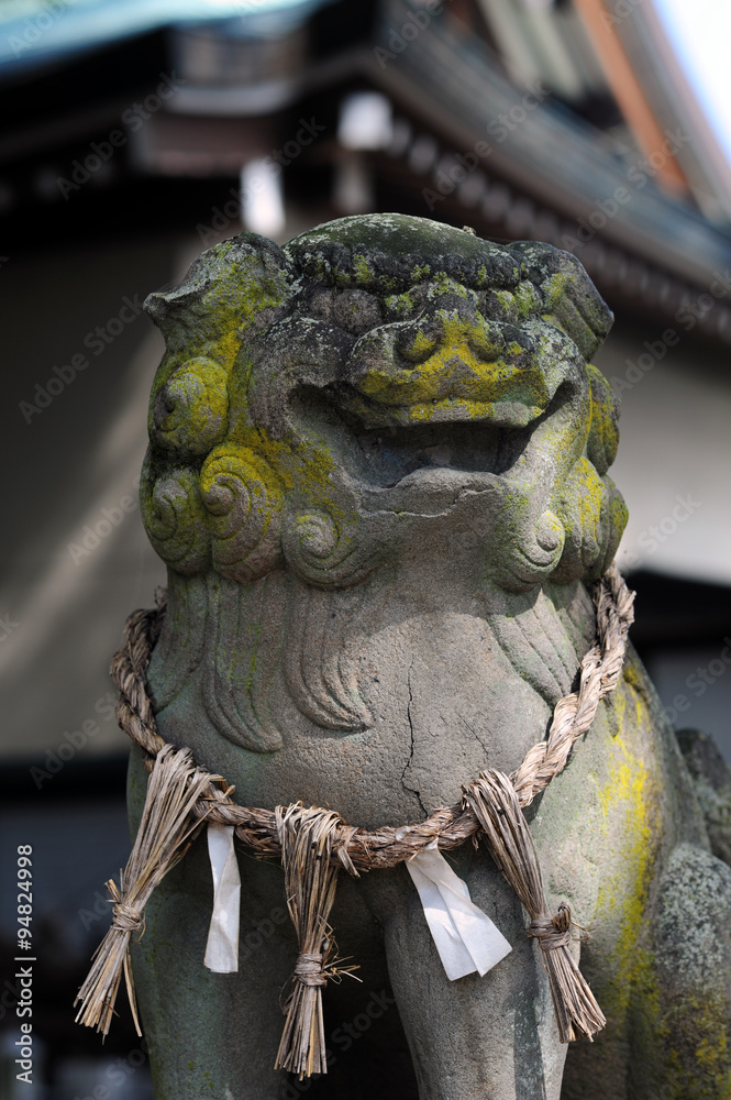 Komainu-106 Stock Photo | Adobe Stock