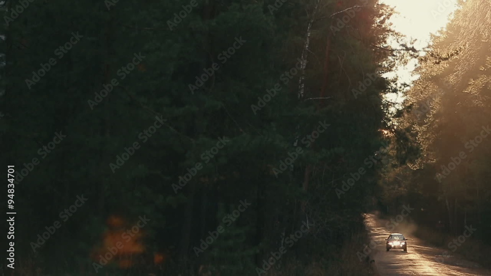 A rally car in the forest Stock Video | Adobe Stock