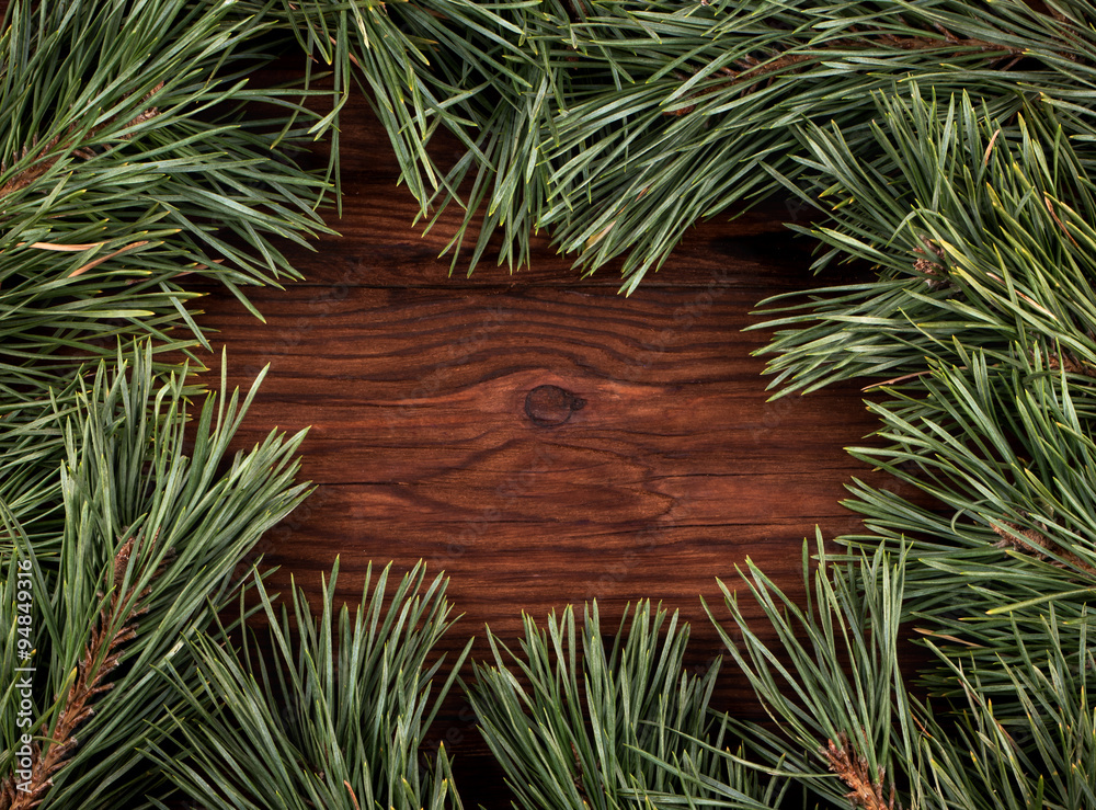 Branches of pine foto de Stock | Adobe Stock