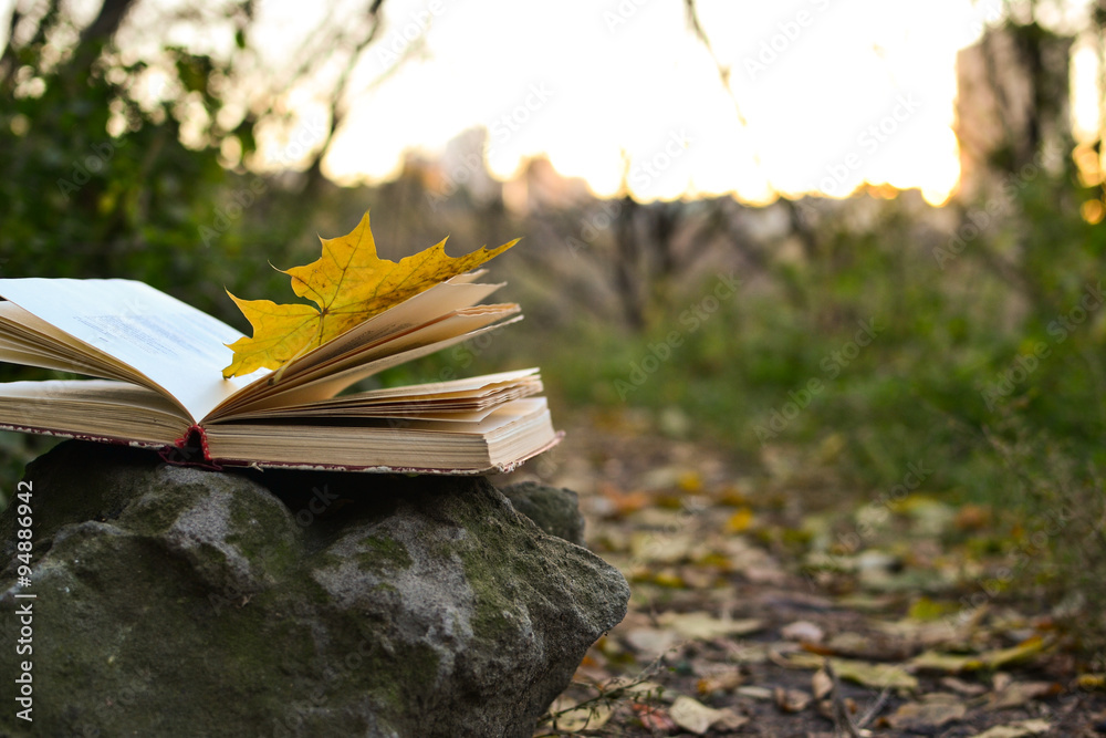 Open book outdoors Stock Photo | Adobe Stock