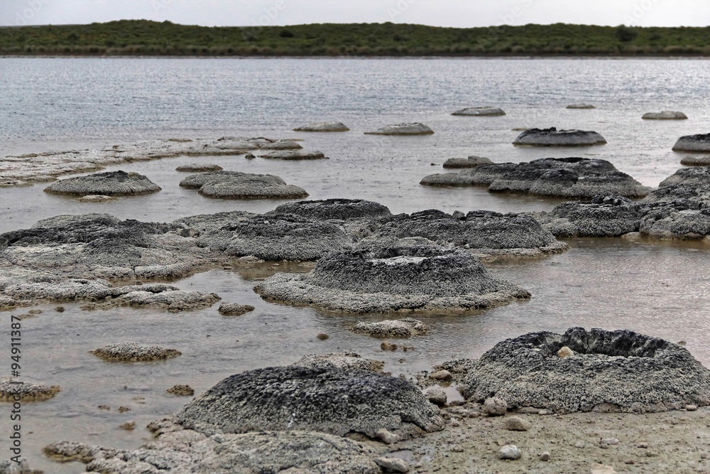Stromatolites or stromatoliths are layered bio-chemical accretionary ...