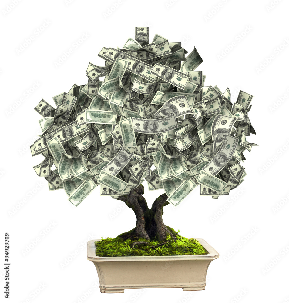 Money tree with dollar banknotes Stock Illustration | Adobe Stock