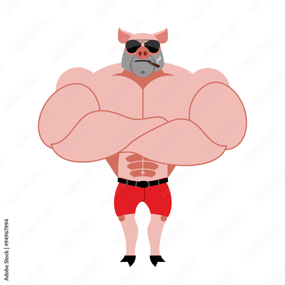 Strong pig bodybuilder with huge muscles. Farm animal athlete. P Stock ...