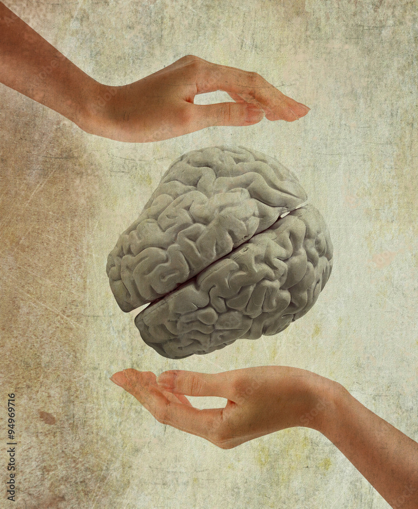 hand holding human brain on white background. modern knowledge, Stock ...