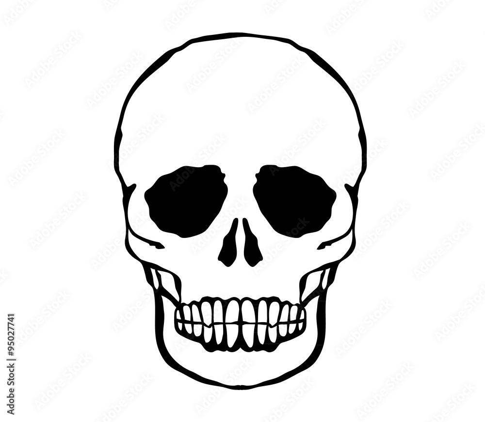 Skull Stock Vector | Adobe Stock