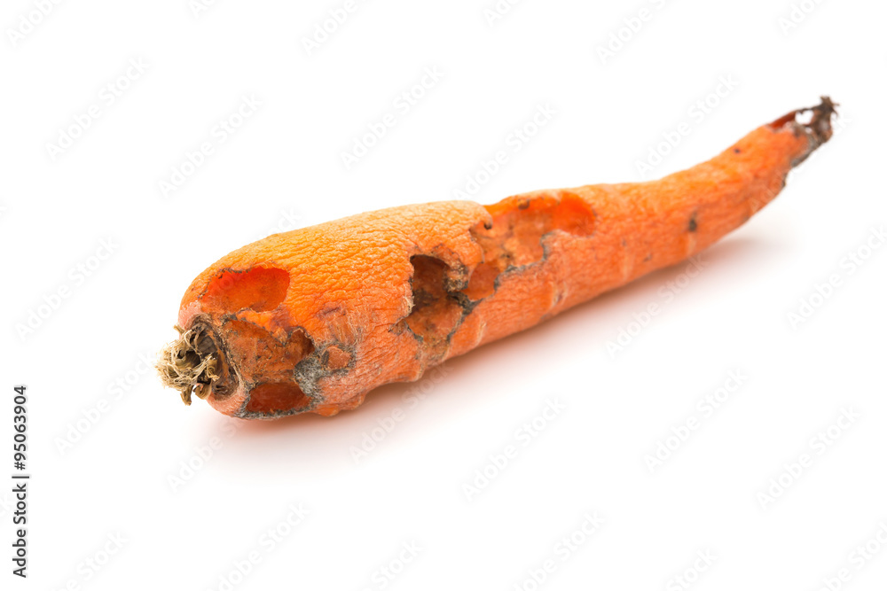 Carrots Rotting