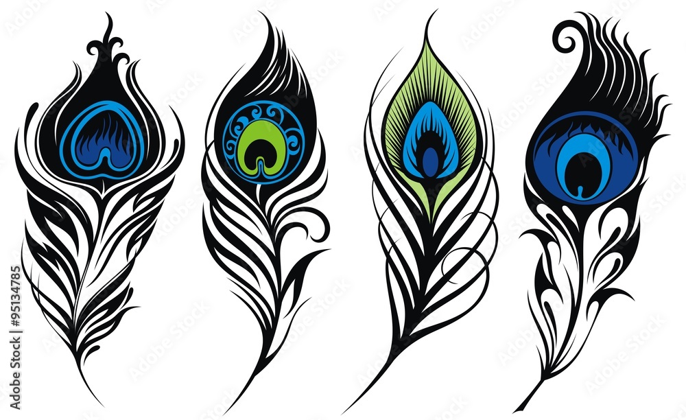 Stylized, vector peacock feathers Stock Vector | Adobe Stock