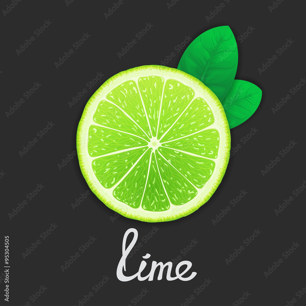 Just half of lime with leaves closeup. Vector art template Stock Vector ...