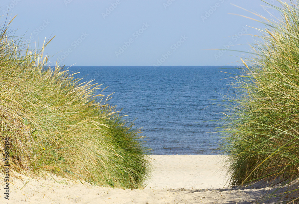 Der Weg zum Strand am Meer - Urlaub im Sommer Stock-Foto | Adobe Stock