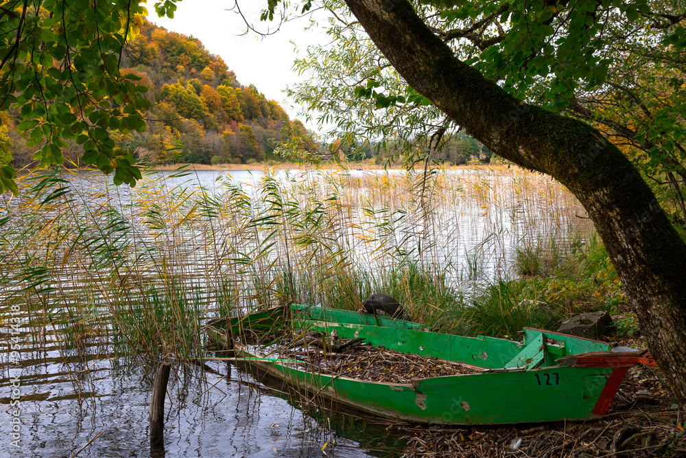 barque verte bord de lac en automne Photos | Adobe Stock