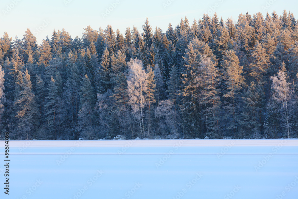Winter lake scenery in finland Stock Photo | Adobe Stock