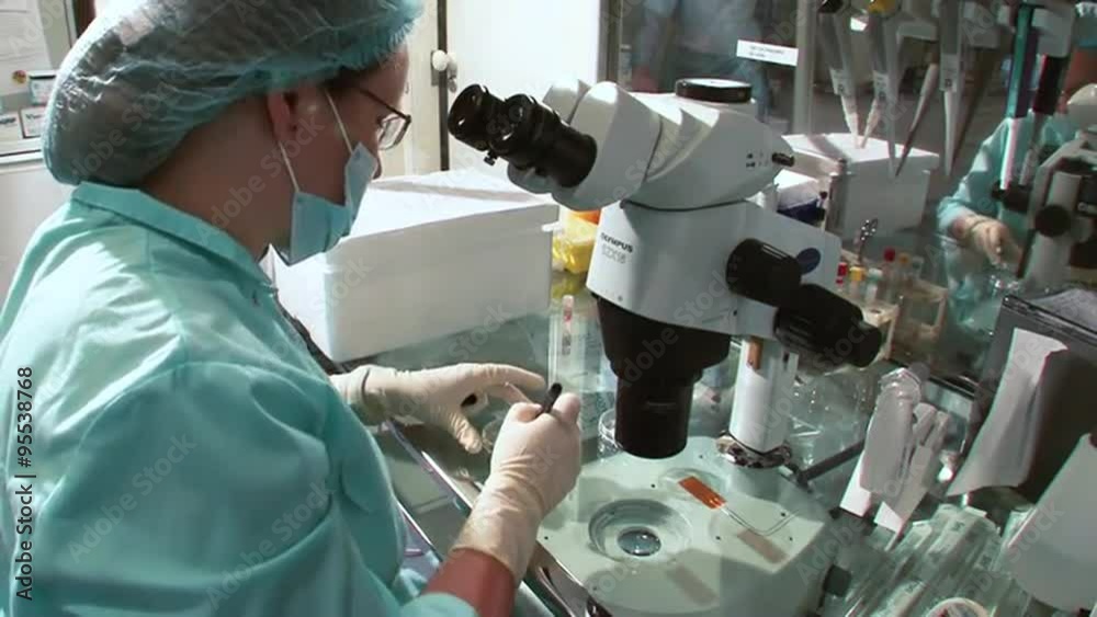 Vidéo Stock Fertility doctor with a microscope, a syringe and petri ...