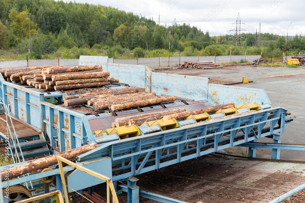 Automatic sorting logs diameter at the sawmill Stock Photo | Adobe Stock