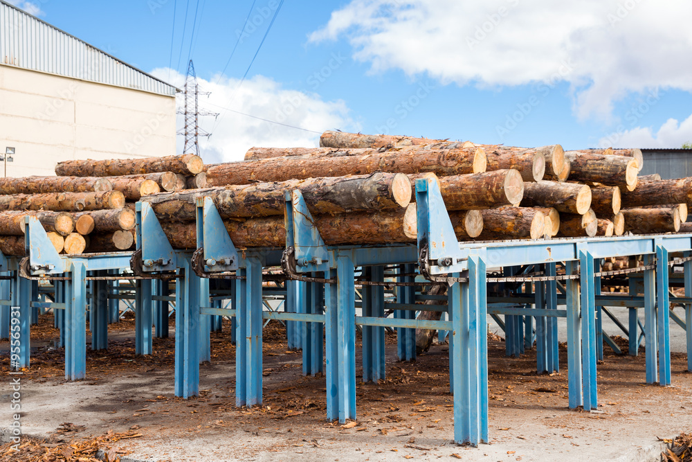 Automatic sorting logs diameter at the sawmill Stock Photo | Adobe Stock