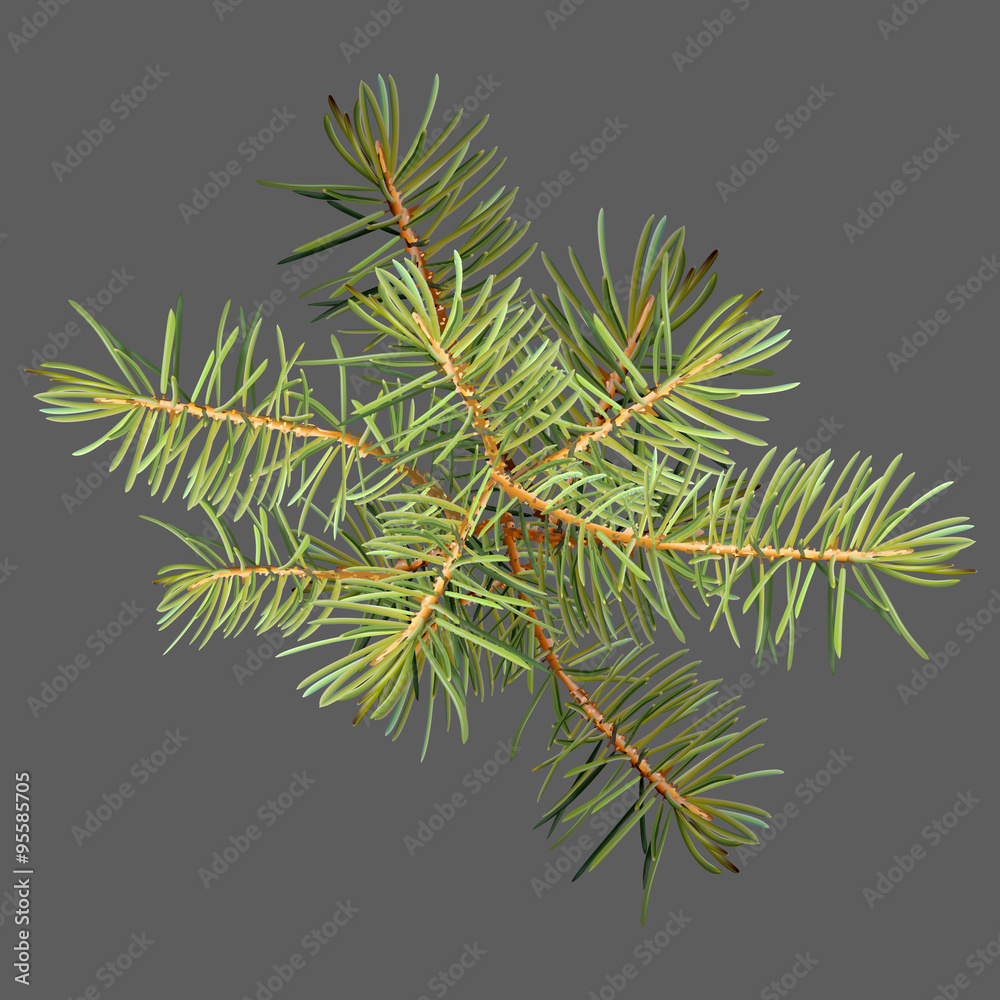Realistic needles, spruce branches Christmas tree, detailed, frame of ...