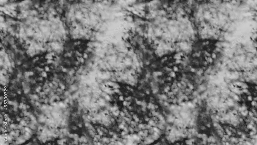 Tree shadow black and white texture looped animation, perfect for CG ...