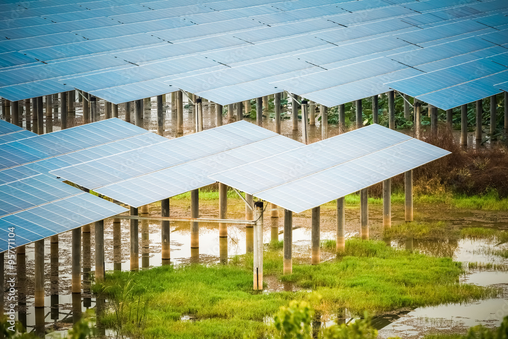 solar energy in swamp Stock Photo | Adobe Stock