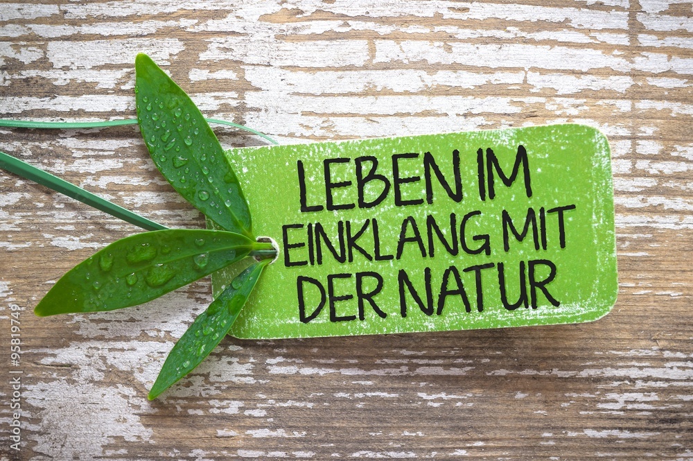 Im Einklang Mit Der Natur