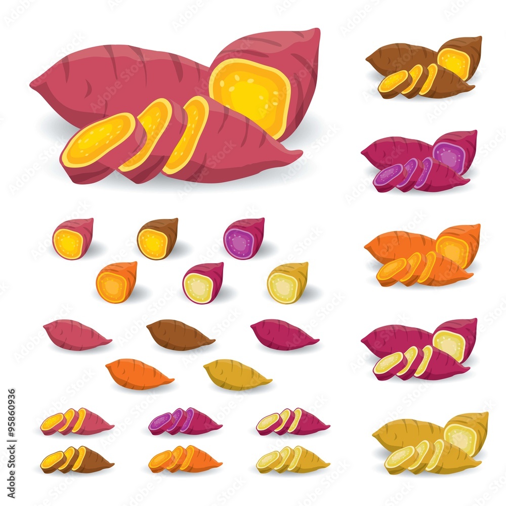 Sweet Potato Vector vector de Stock | Adobe Stock
