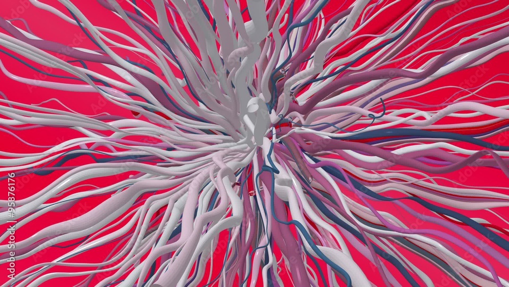 Abstract background in white and red colors Stock Video | Adobe Stock