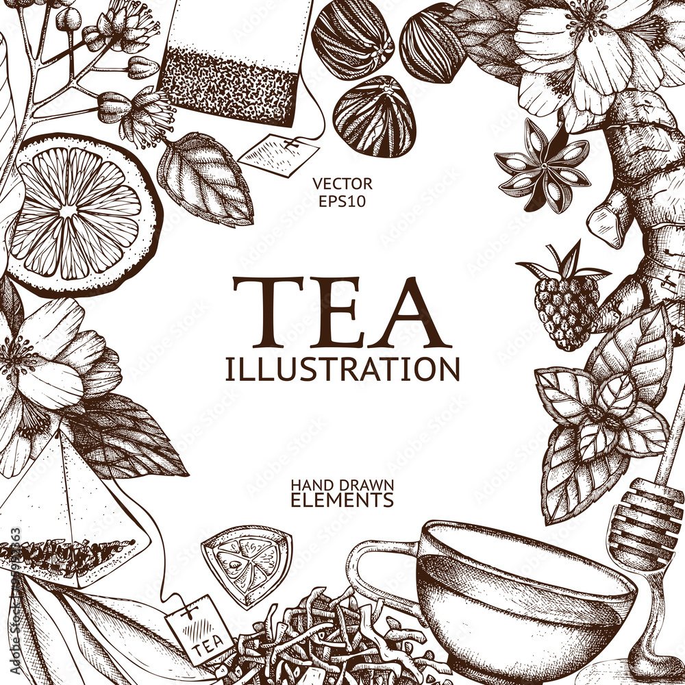 Vector card design with hand drawn tea illustration. Decorative inking ...