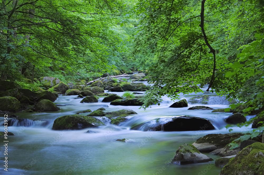 Bode Fluss - Bode river 01 Stock-Foto | Adobe Stock
