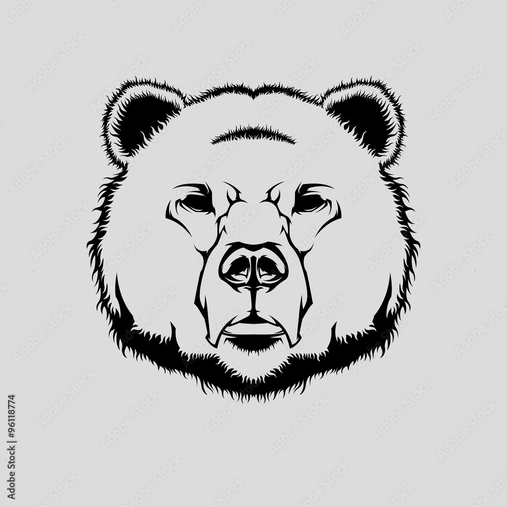 Grizzly Bear Vector