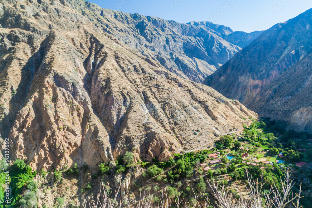 Colca Canyon Oasis