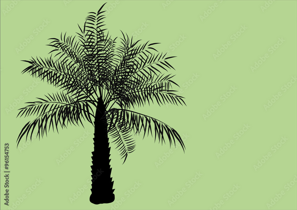 Palm Oil Tree Vector