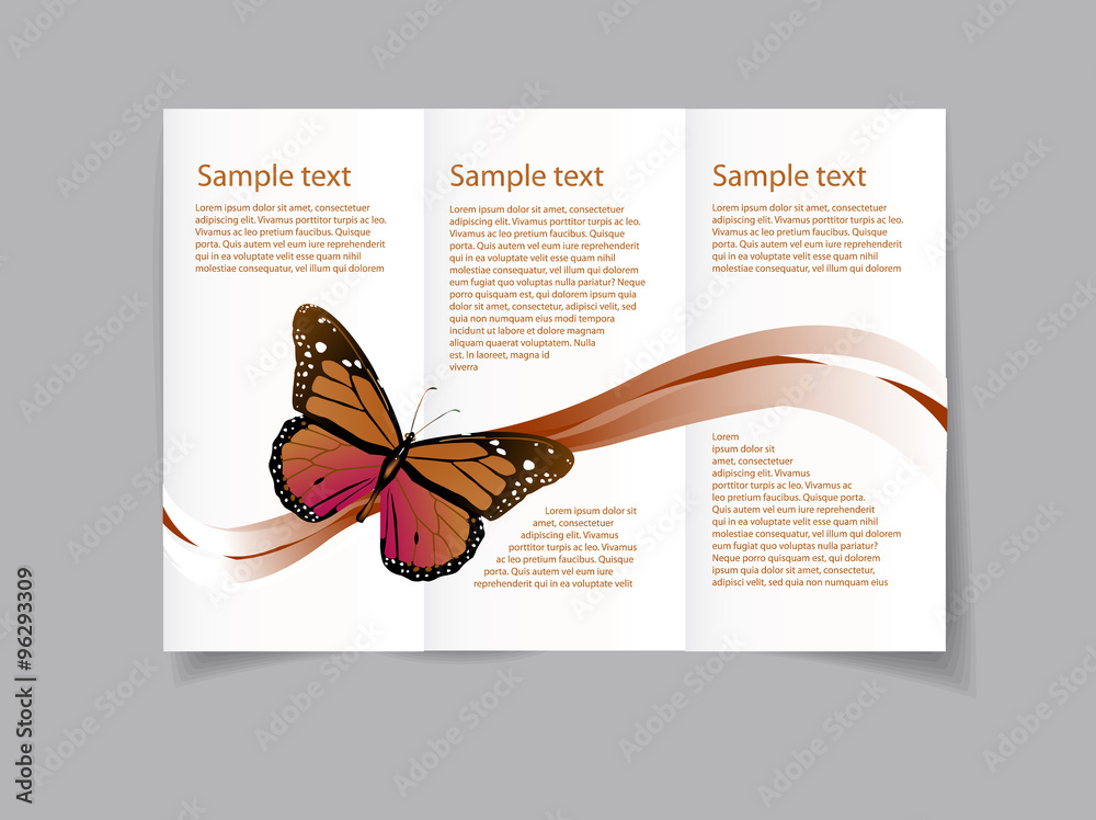 Vector art graphic illustration of brochure design Stock Vector | Adobe ...
