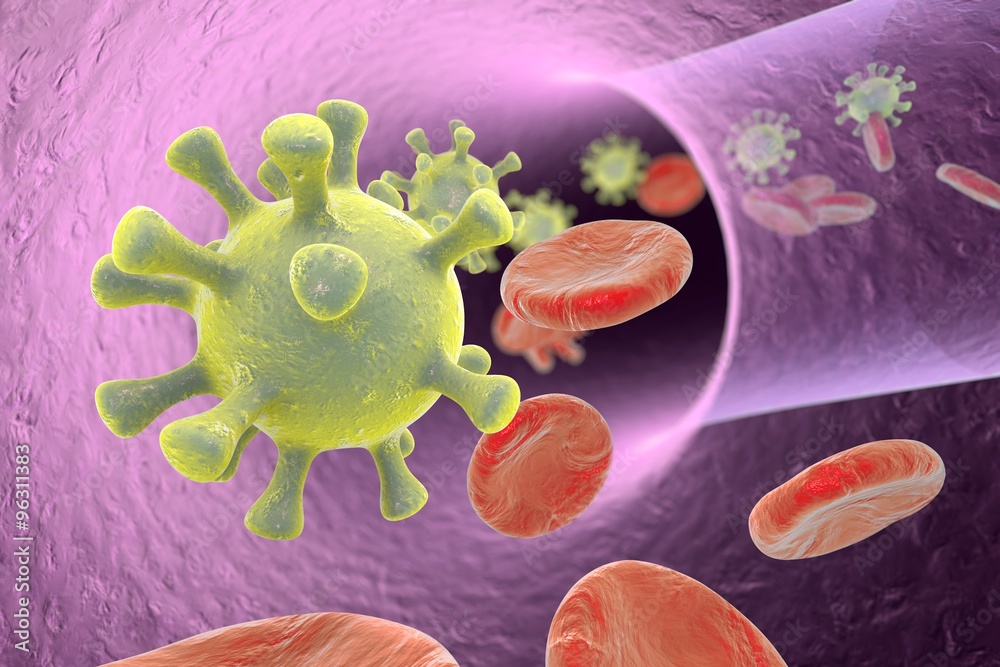 HIV in blood vessel with red blood cells. Human immunodeficiency virus ...