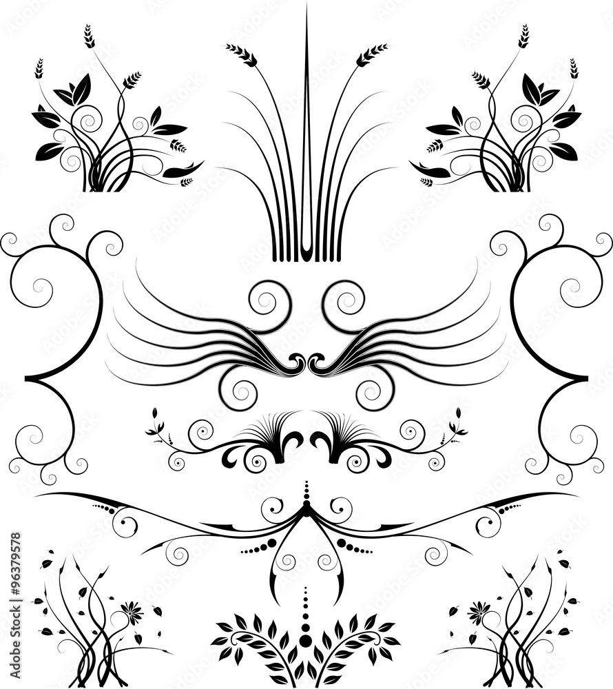Elegant floral design with curves. Stock Vector | Adobe Stock