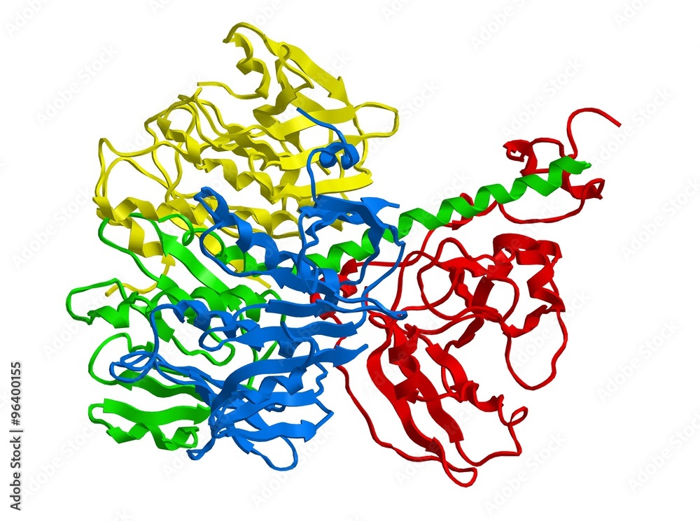 Molecular structure of Cholera toxin Stock Illustration | Adobe Stock