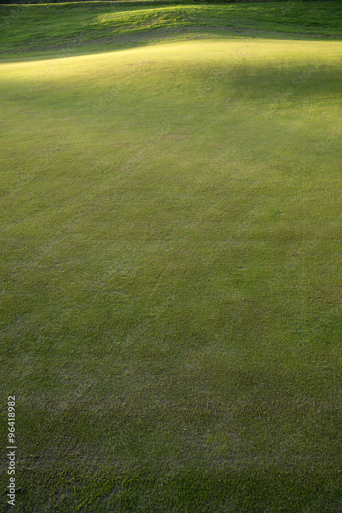 Grass on a golf course Stock Photo | Adobe Stock