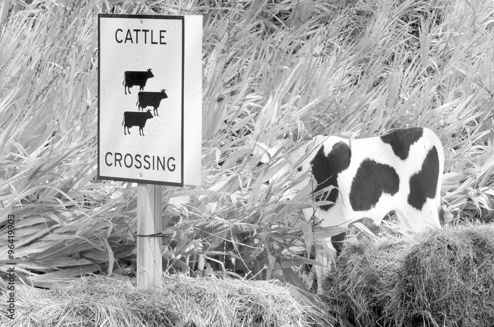 Cattle crossing sign Stock Photo | Adobe Stock