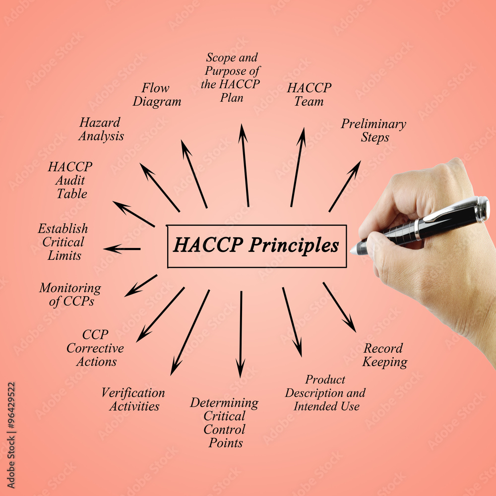 Woman hand writing element of HACCP principle on white background Stock ...