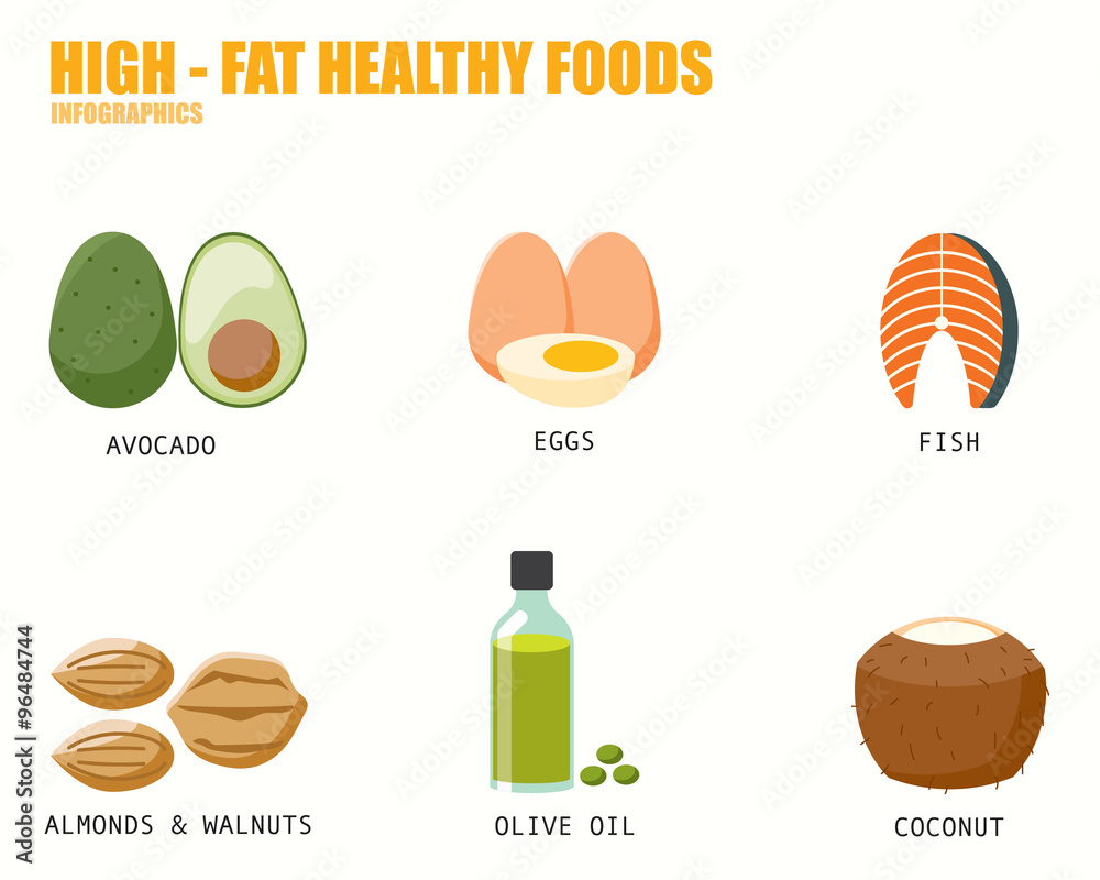 HIGH FAT HEALTHY FOODS infographics Stock Vector | Adobe Stock