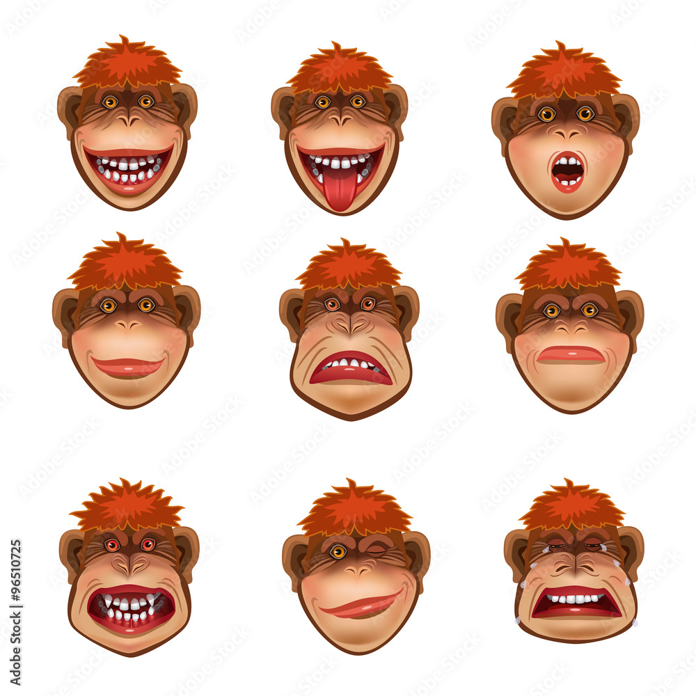emotions monkeys/ Emotions in monkeys it's a fun and funny person ...